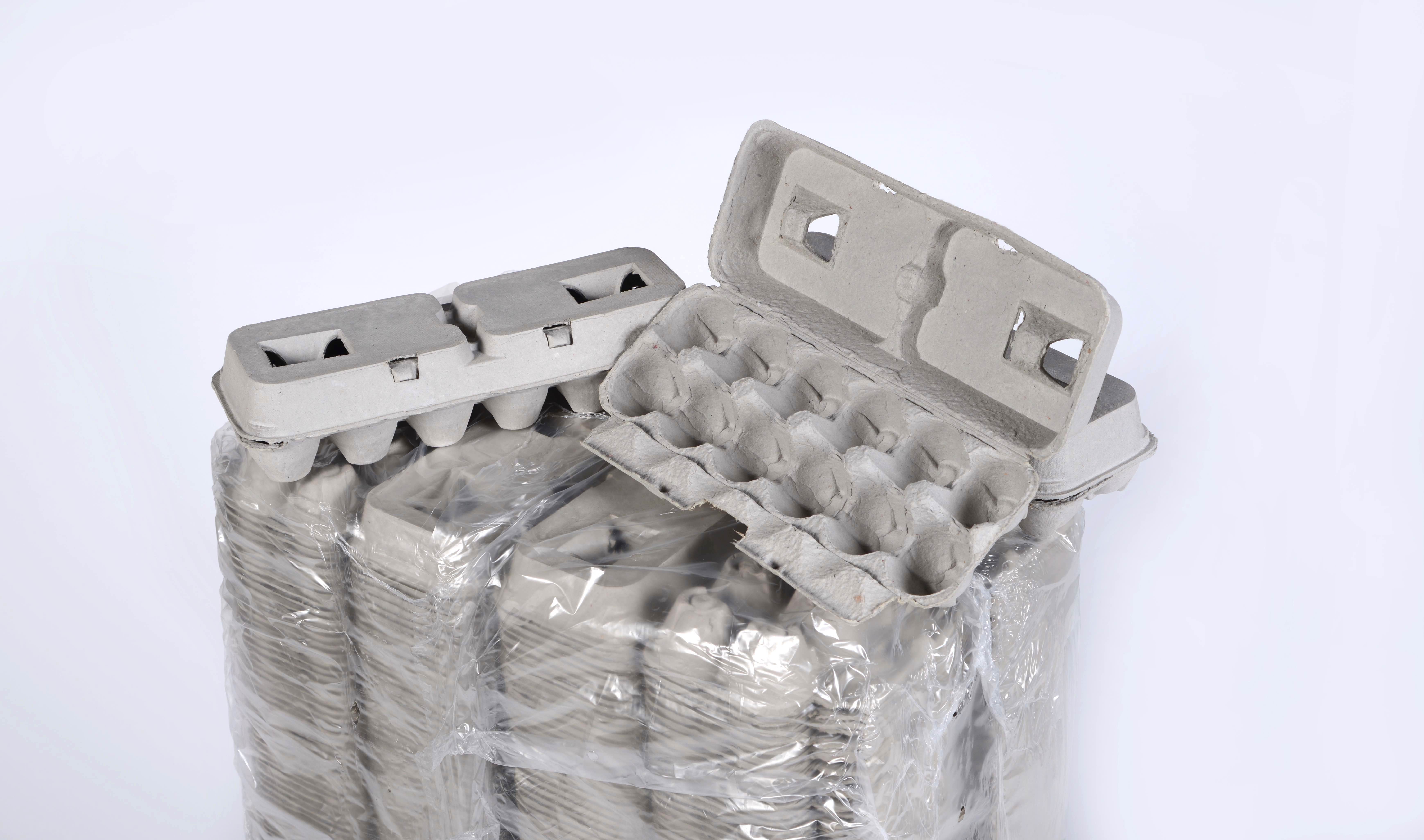 Coast Packaging - Shop Online